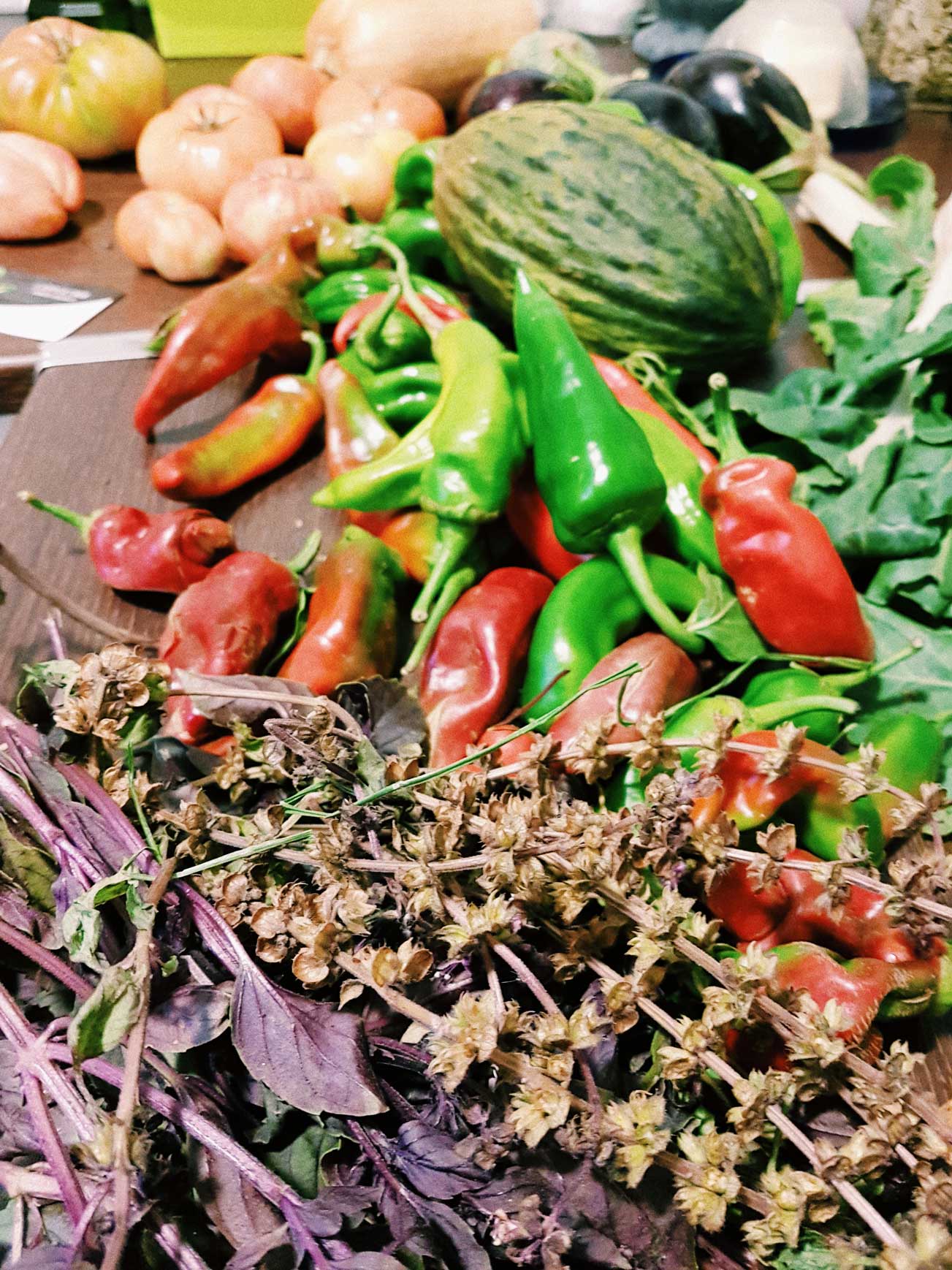 From Mauritania to the Jarama valley: Meet Usman, the alternative ...